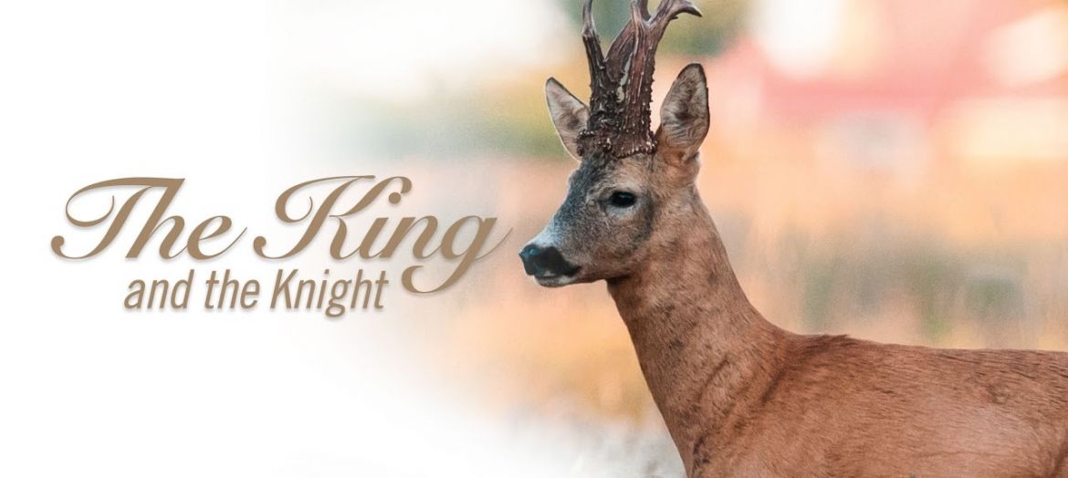 Hunting in England | A classic hunting destination