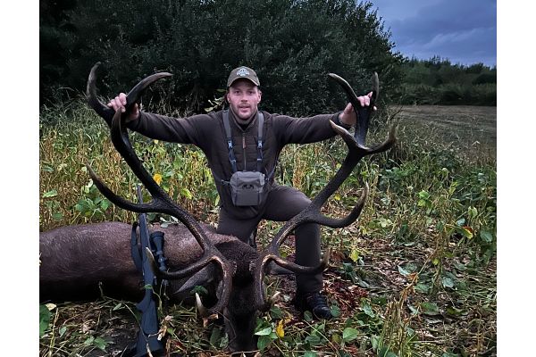 Glade kunder med hjorte på +10 kg fra Ungarn
