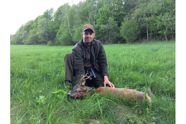 Roebuck hunting in Ladek Zdroj