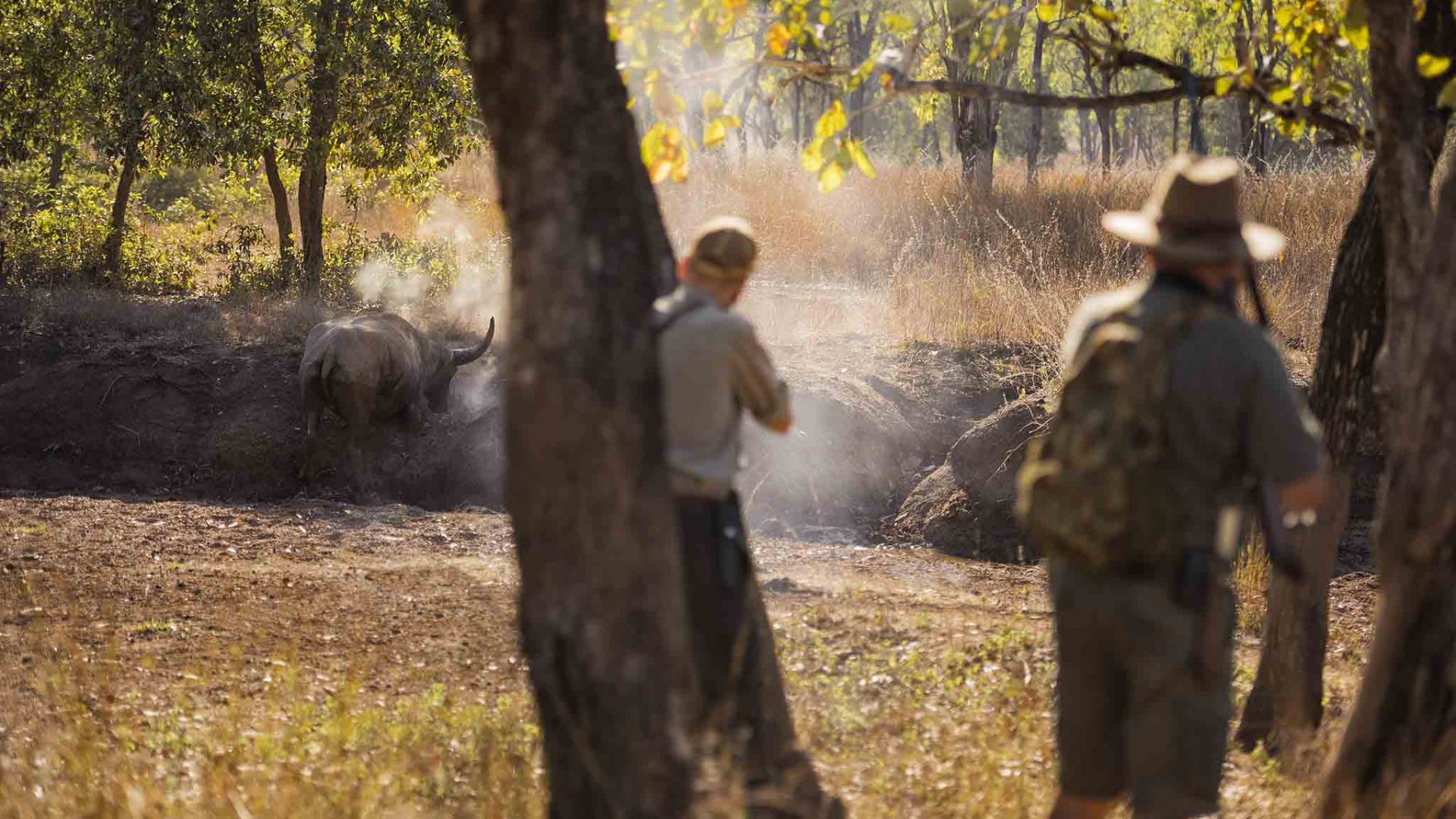 Hunting buffalo in Australia | Hunting in Australia