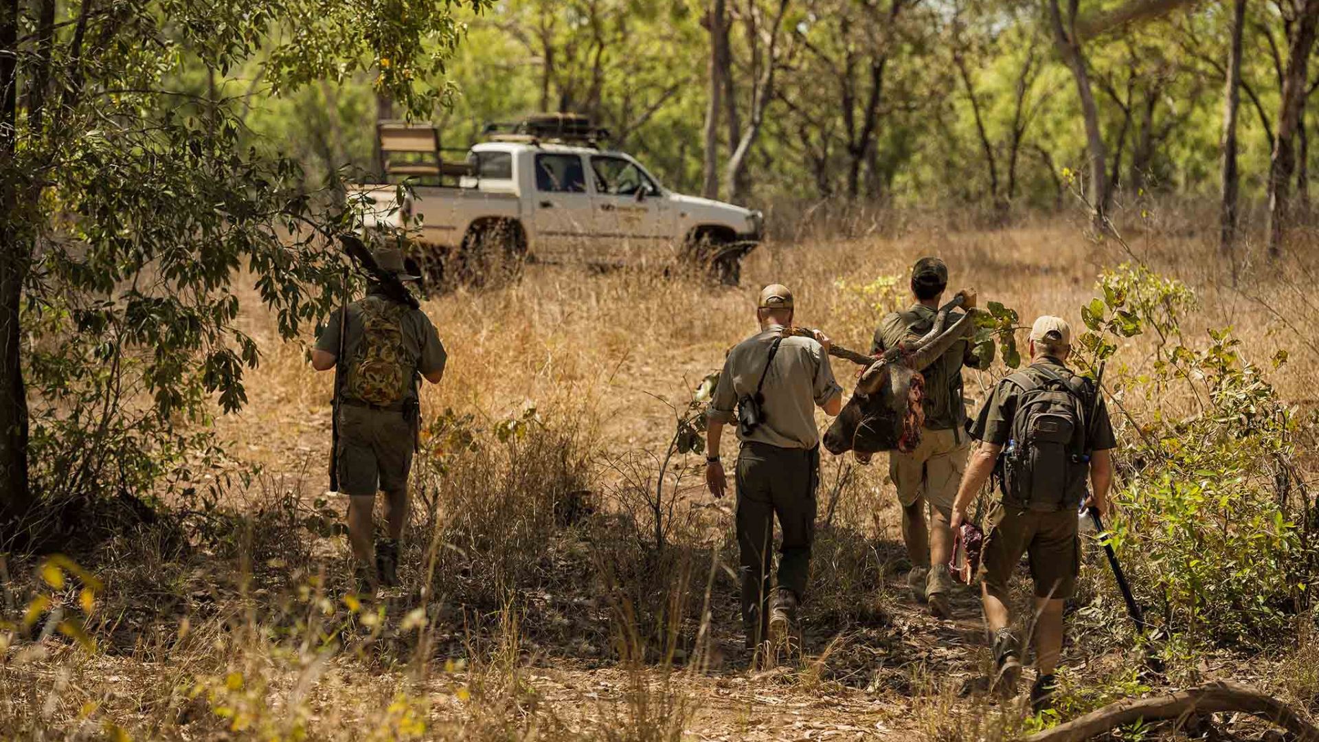 Hunting buffalo in Australia | Hunting in Australia