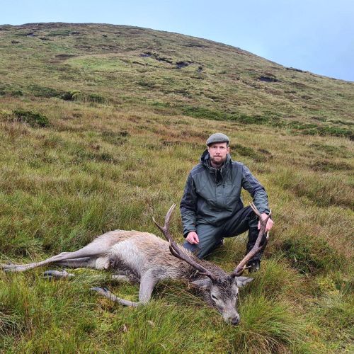Red deer stag hunts in Scotland | Hunt red deer stags in Scotland