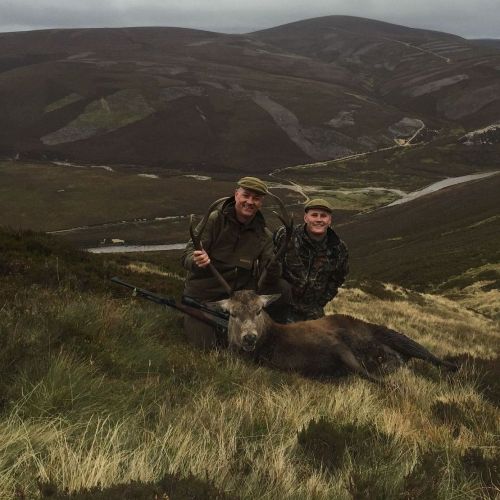 Red deer stag hunts in Scotland | Hunt red deer stags in Scotland