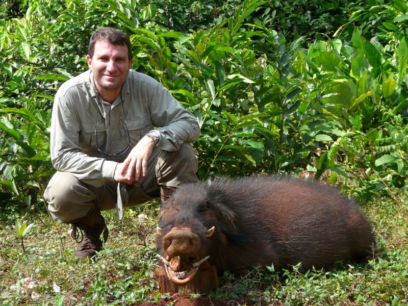 The rainforest of Cameroon | Big game hunting