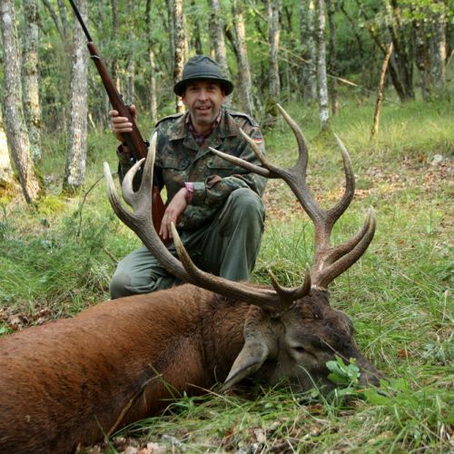Red Deer Stag Hunts in France | Hunt Red Deer Stags in France