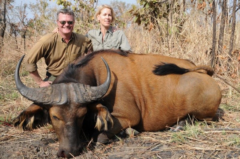 Hunting on the savannah in Cameroon | Big game hunting