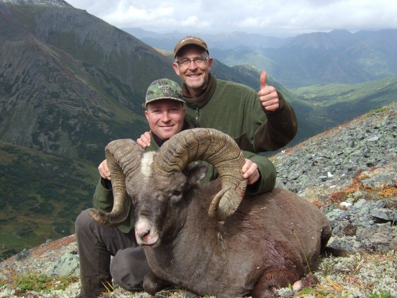 Russian Snow Sheep