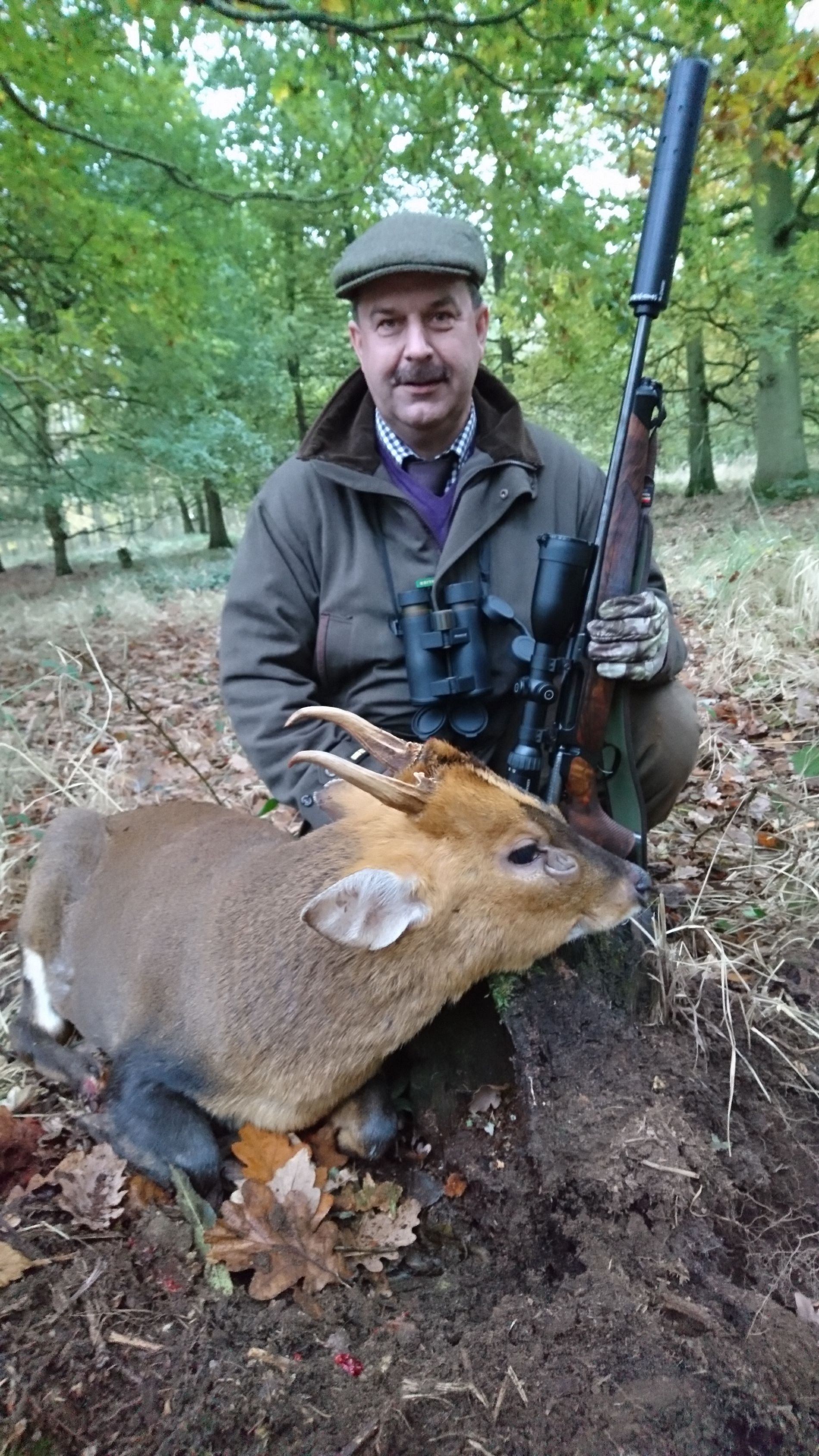 Water deer, muntjac and fallow buck hunting in England