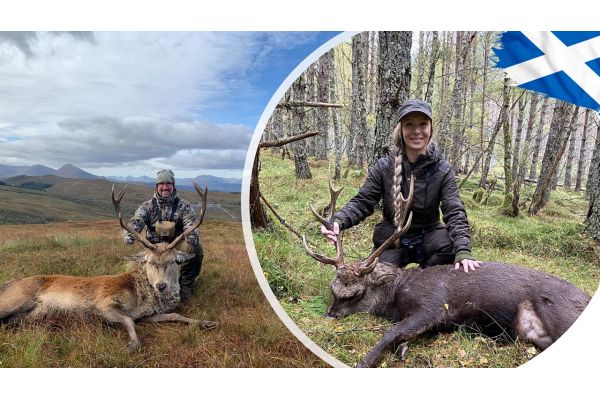Combination hunt for sika and red deer