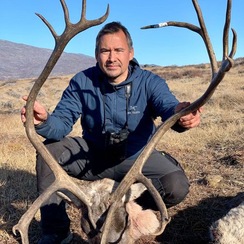 Reindeer hunting in Nuuk