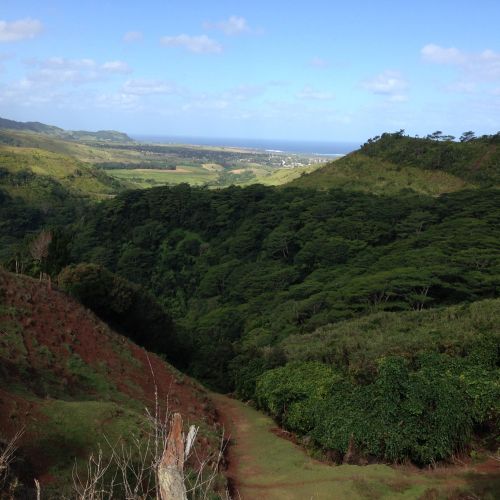 Rusa deer on Mauritius | Hunting on Mauritius