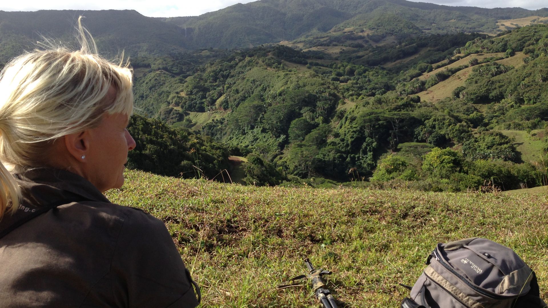 Rusa deer on Mauritius | Hunting on Mauritius