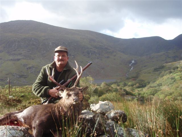 Sika hunting in Ireland ı Hunting trip to Kerry