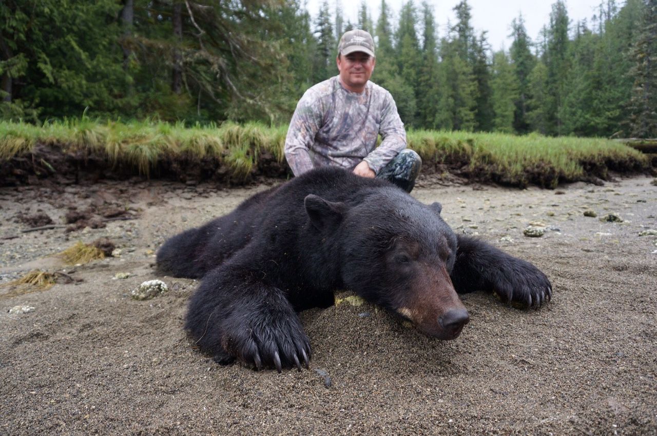 Black bear hunting on Vancouver Island | Canada