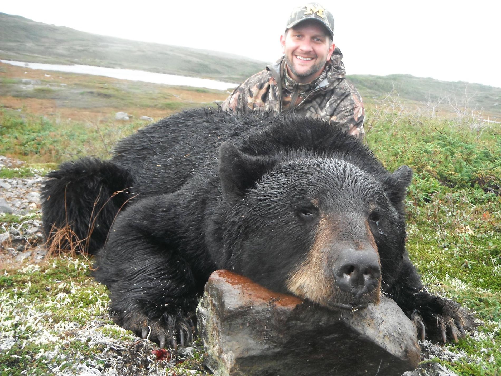 Black Bear Hunt on New Foundland