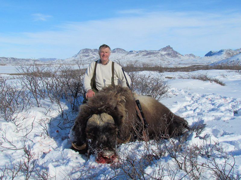Hunting trip to Greenland | Winter Hunt for Musk Ox