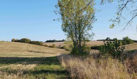 Hunting in France | Great hunting and lots of history