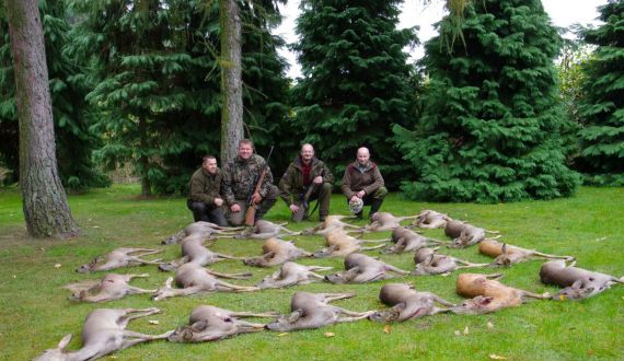 Hunting in Poland | Hunts for Roebuck, Fallow Buck, Wild Boar and Red ...