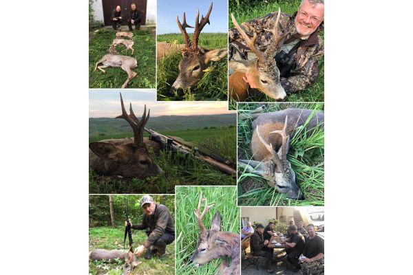 The Roebuck Hunting Season is in Full Swing!
