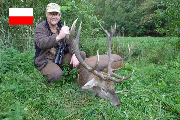 SPECIAL OFFER | Hunt Red Deer Stags in Poland