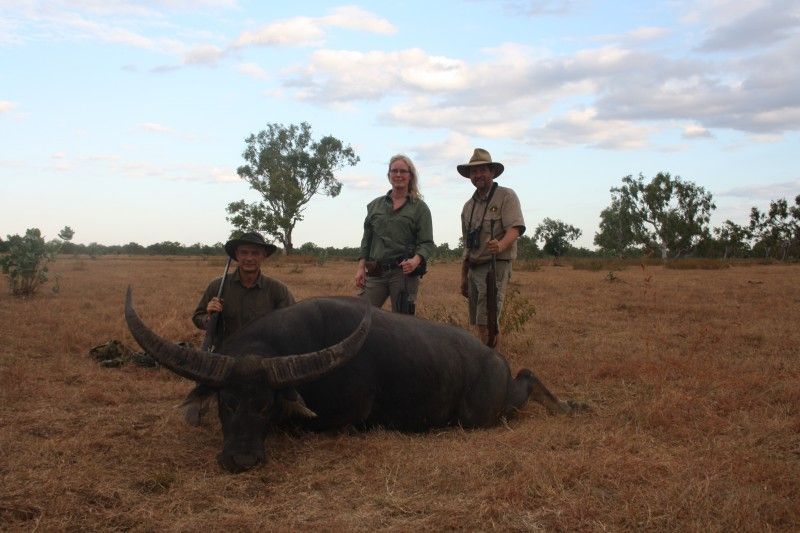 Hunting buffalo in Australia | Hunting in Australia