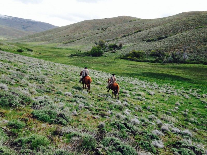 Hunting ground in Patagonia | Hunting in Argentina