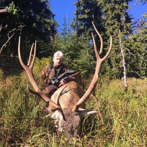 Red deer hunting | Hunting red deer in Romania