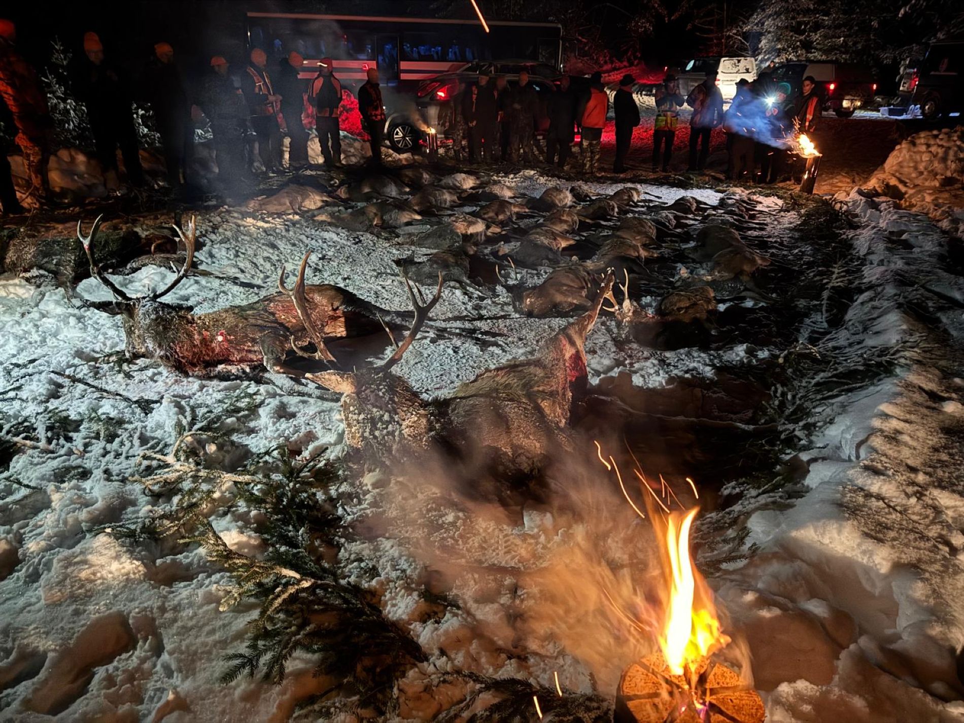 Samledrivjagt i Tjekkiet - sne, frost og vildt!