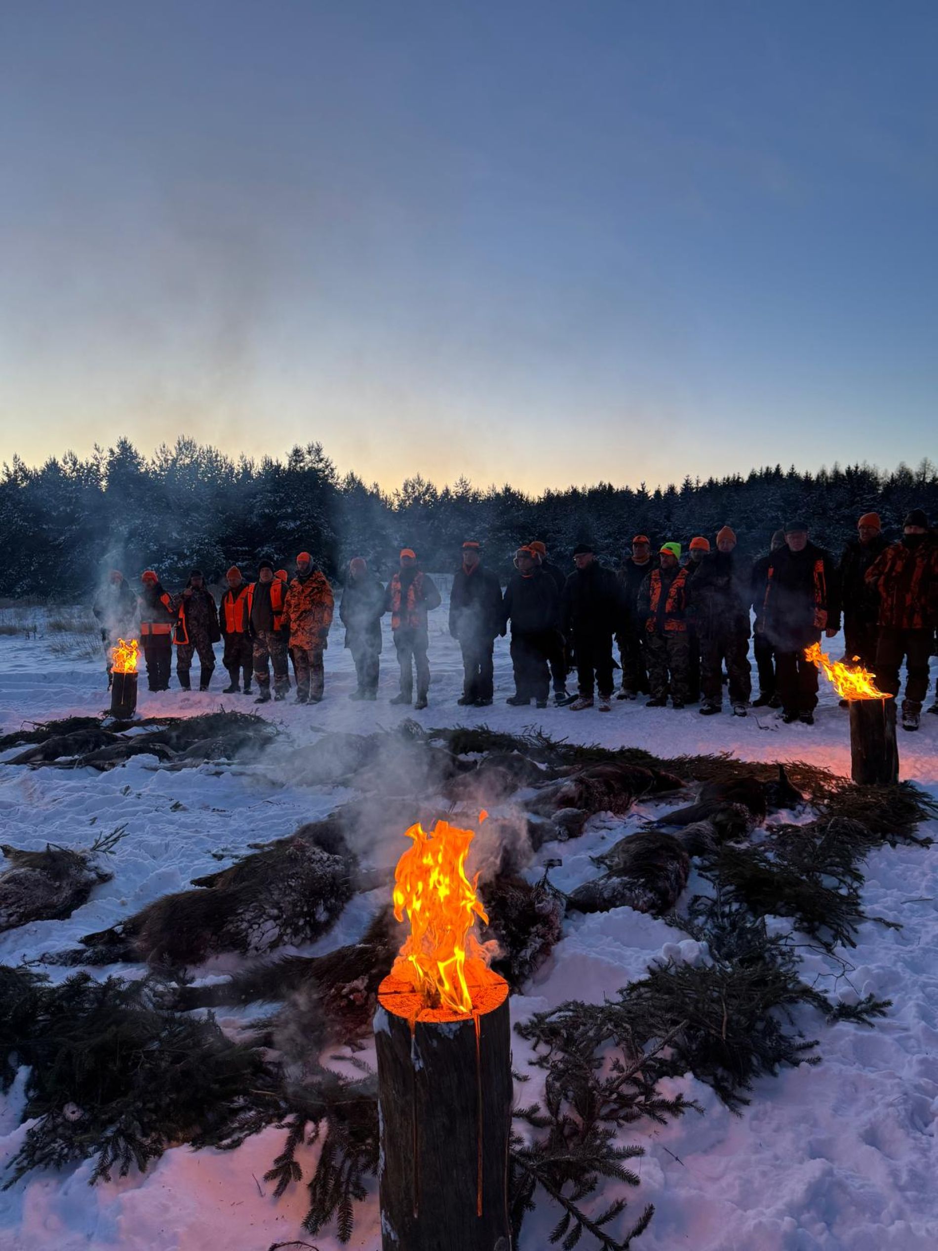 Samledrivjagt i Tjekkiet - sne, frost og vildt!