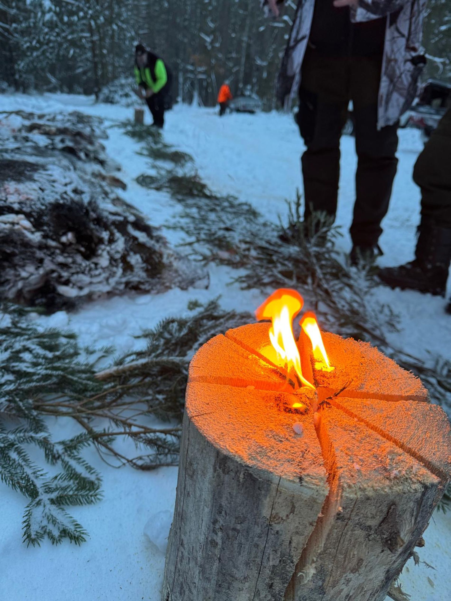 Samledrivjagt i Tjekkiet - sne, frost og vildt!